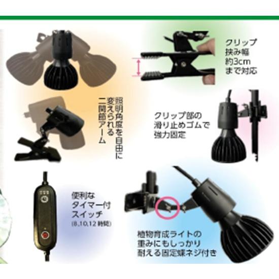 Ever Sun 365 mini 12W BLACK がリニューアル ゼンスイ EVER SUN365 エバーサン サンロクゴー MB 昼 ...