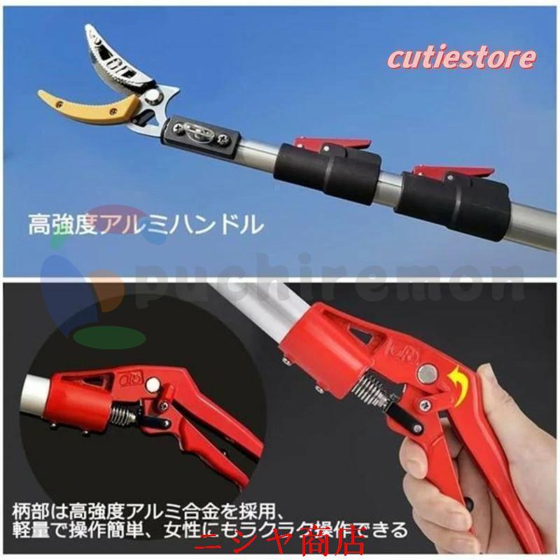 高枝切りバサミ 3m 4m 5m 伸縮式高枝切鋏 鋸付き 伸縮式 剪定鋏 高枝鋏 高枝用 SK5 高所 園芸用はさみ 太枝切鋏 枝切り 枝分け 高枝切り鋏 万能はさみ : ニシヤ商店 - 通販 ...