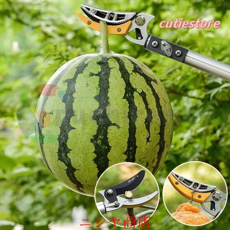 高枝切りバサミ 3m 4m 5m 伸縮式高枝切鋏 鋸付き 伸縮式 剪定鋏 高枝鋏 高枝用 SK5 高所 園芸用はさみ 太枝切鋏 枝切り 枝分け 高枝切り鋏 万能はさみ : ニシヤ商店 - 通販 ...