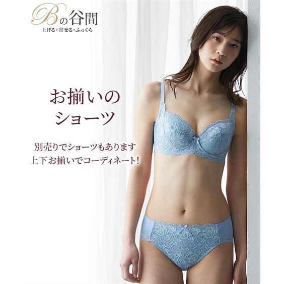 ブラジャー ワイヤー入り レディース 盛り上げ 日本製 レース ( トリンプ ) A70〜E85 ニッセン nissen :ZZY4320D5495:ニッセン Yahoo!店 - 通販 ...