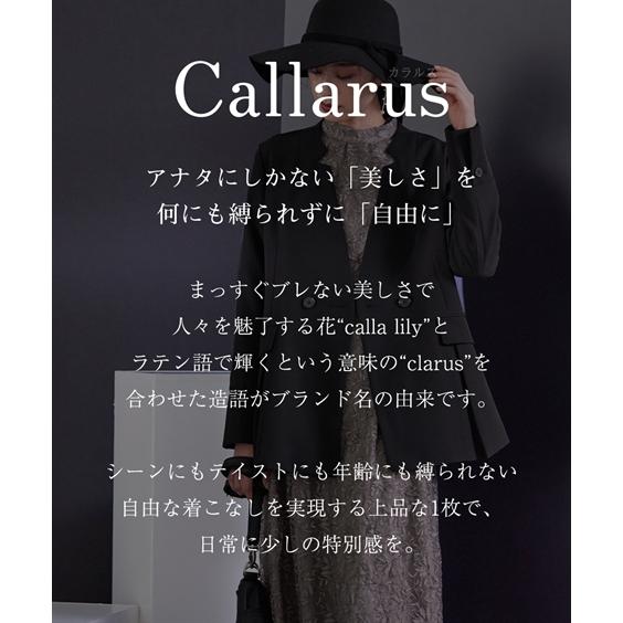 ドレス ワンピース 大きいサイズ レディース 結婚式 パーティー オケージョン Callarus Long Jakect＋ Lace Onepiece Dress 有 4L/5L ニッセン ...
