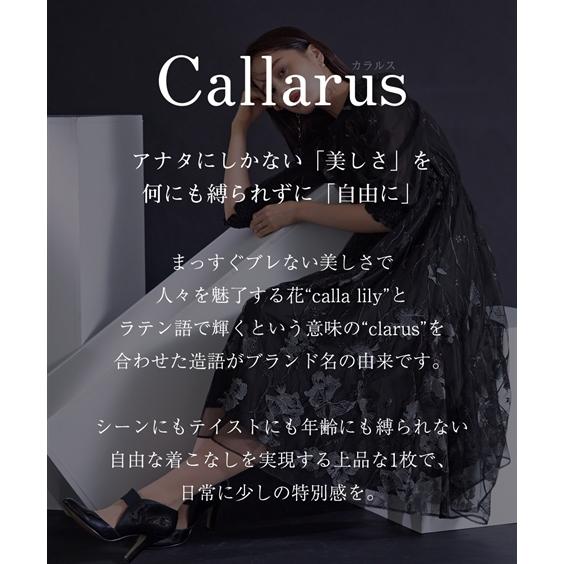 ドレス ワンピース レディース 結婚式 パーティー オケージョン Callarus Embroidery Lace Design One Piece Dress 有 LL/3L ニッセン ...