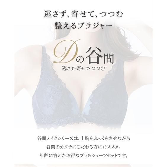 ブラジャー ショーツ セット レディース Dに寄せる フルカップ ( トリンプ ) B70_M〜D80_L ニッセン nissen : zzy4322e3701 : ニッセン Yahoo!店 ...