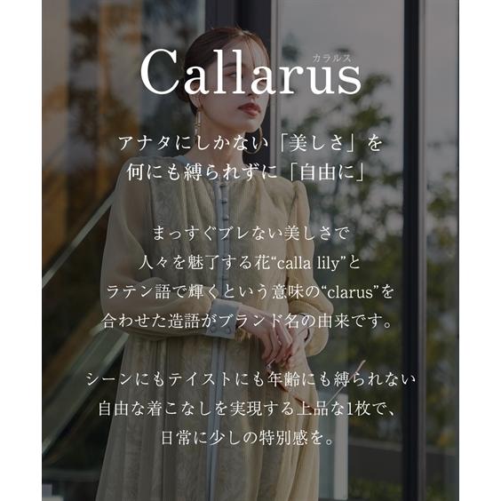 ドレス ワンピース レディース 結婚式 パーティー Callarus Flower Printed Tulle Onepiece Dress 有 LL/3L ニッセン nissen ...