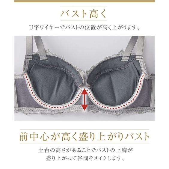 ブラジャー ショーツ セット 大きいサイズ レディース いでよ 谷間 フロラシオン レース E85_LL〜F95_3L ニッセン nissen : zzy4323a1643 : ニッセン ...