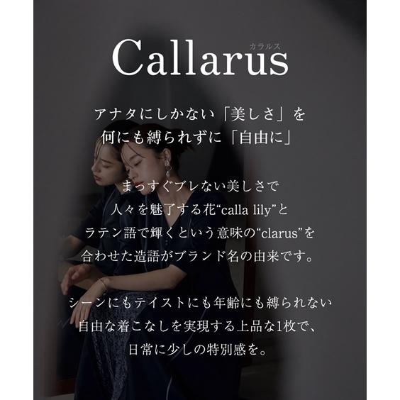 ニッセン ドレス ワンピース 大きいサイズ レディース 結婚式 パーティー Callarus Front Lace Pleats Design Onepiece Dress 4L/5L ...