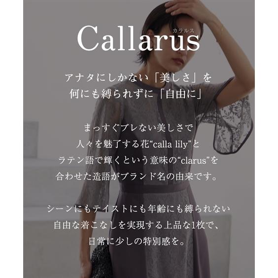 ドレス ワンピース レディース 結婚式 パーティー オケージョン 袖スリット レース 切替 ｜ 有〔Callarus〕 4L/5L ニッセン nissen : zzy4323d1460 ...
