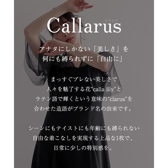 ニッセン パーティドレス ワンピース レディース 結婚式 パーティー オケージョン ドレス ラメチュールスリーブ デザイン ｜ 有〔Callarus〕 LL/3L nissen : ニッセン ...