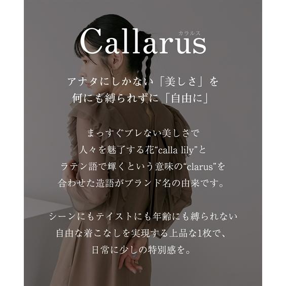 パーティドレス ワンピース 大きいサイズ レディース 結婚式 パーティー オケージョン ドレス チュールフリル デザイン 有 〔Callarus〕 4L/5L ニッセン nissen ...