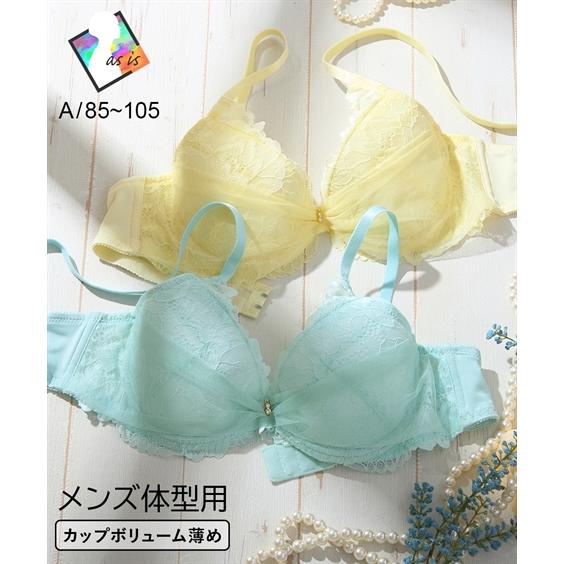 ブラジャー MTF 脇高ヴェールレーシーMTF 春 夏 秋 冬 トランスジェンダー インナー 下着 | A85/A90/A95/A100/A105 ニッセン nissen : ニッセン ...