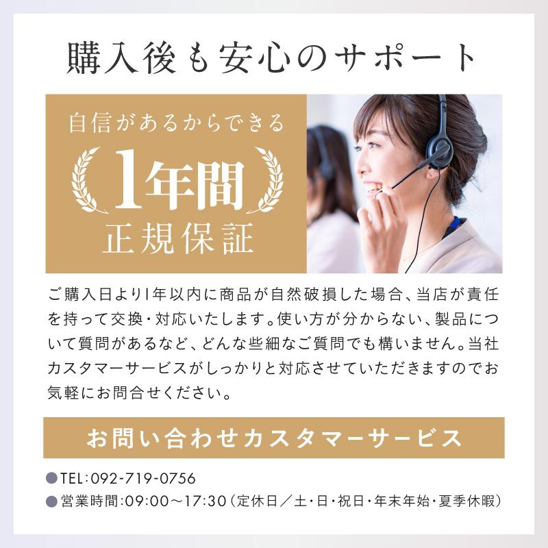 NIPLUX リフトケア特化のマッサージガン BEGUN ビガン 美顔器 フェイス