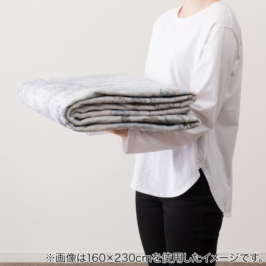 ニトリ デジタルプリントラグ(140X200 DP03) : ニトリ Yahoo!店 - 通販 - Yahoo!ショッピング