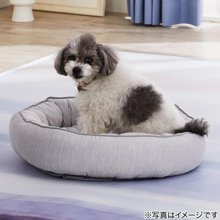 ニトリ ペットベッドマル(NクールWSP モクメ gSC2) デコホーム : ニトリ Yahoo!店 - 通販 - Yahoo!ショッピング