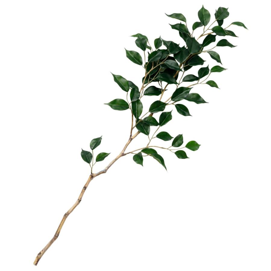 ニトリ 枝 フェイカス (OS08) : ニトリ Yahoo!店 - 通販 - Yahoo!ショッピング