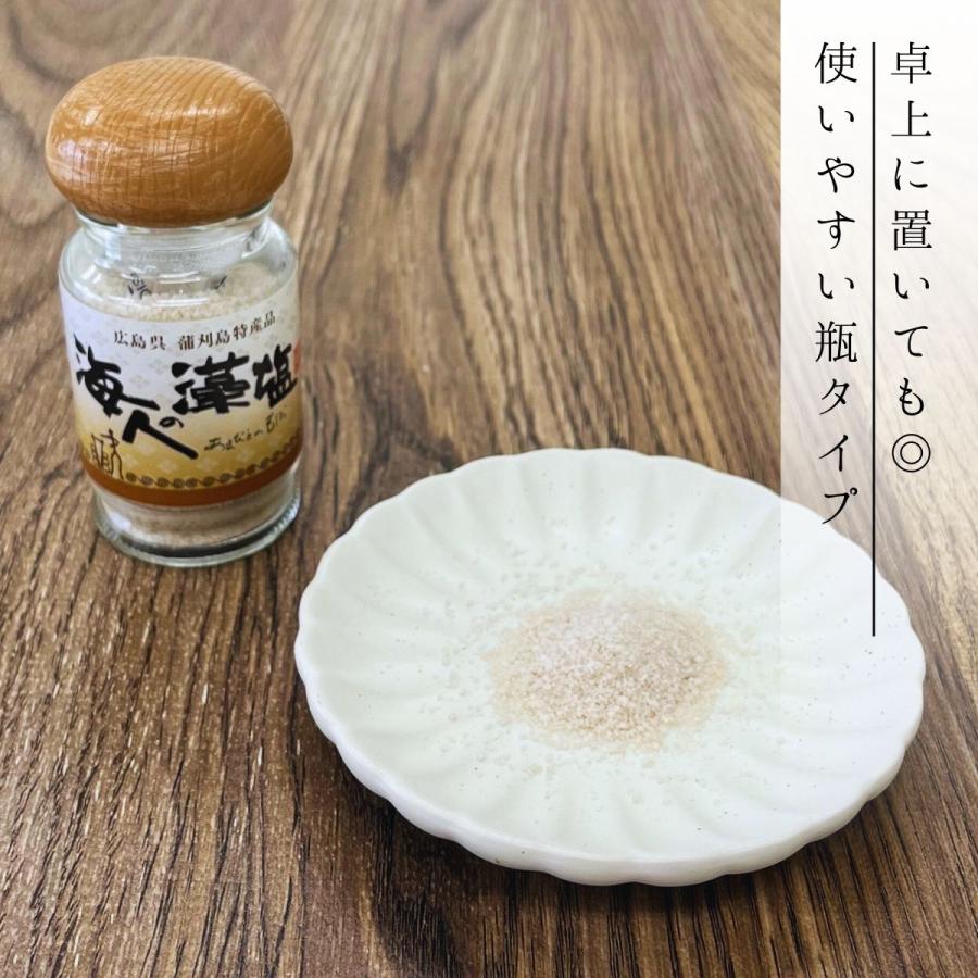 海人の藻塩 瓶入り 40g 蒲刈物産株式会社 蒲刈物産 広島 蒲刈 藻塩 : e064 : ニットーリレー - 通販 - Yahoo!ショッピング