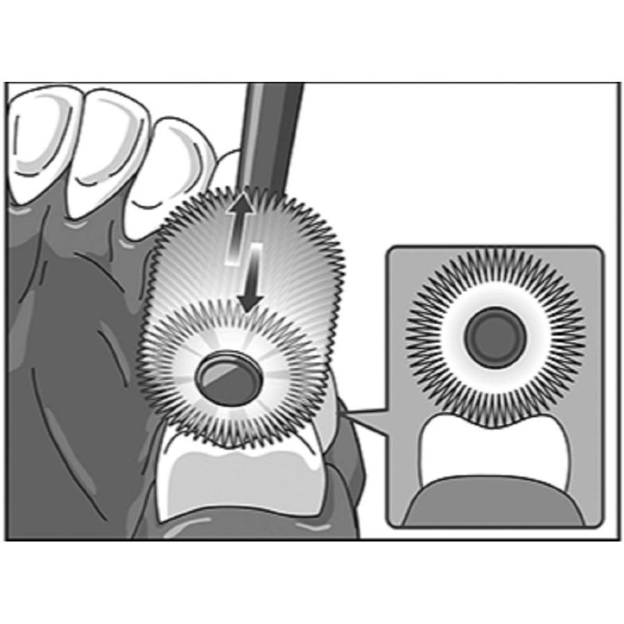 たんぽぽの種 360度ぐるっと丸い歯ブラシ 極細毛 成人用 4本セット 2022年版新色 :hyt17157364189571:NN-Style - 通販 - Yahoo!ショッピング