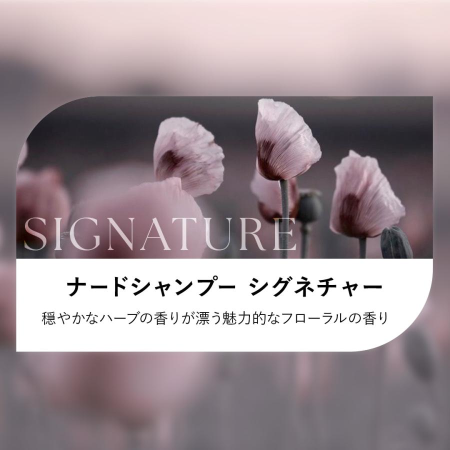 【公式】NARD ナード シャンプー 1000ml 韓国 大人気 ダメージヘア 正規品 アミノ酸 大容量 : NN3-beauty - 通販 - Yahoo!ショッピング