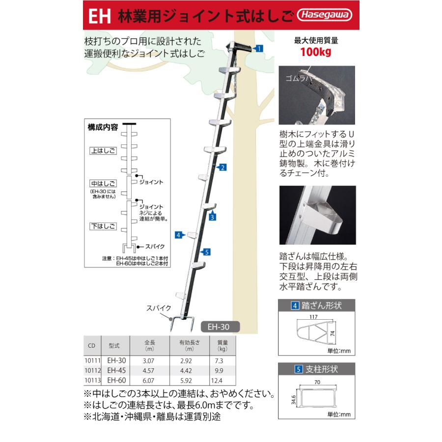 長谷川工業 (配送先法人限定) 枝打はしご EH-45 全長：4.57m 質量：9.9kg 林業用ジョイント式はしご ハセガワ : t109-eh-45 : はしごと脚立のノボッテ - 通販 ...