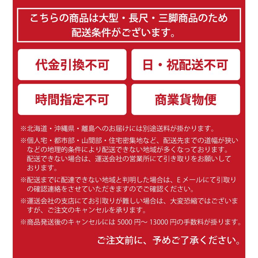 長谷川工業 はしご兼用伸縮脚立 RYZ-18c 6尺 ワンタッチバー 脚部伸縮式 RYZ-18b後継品 天板高さ：1.61〜1.92m シルバー ハセガワ :t109-ryz-18c:はしごと ...