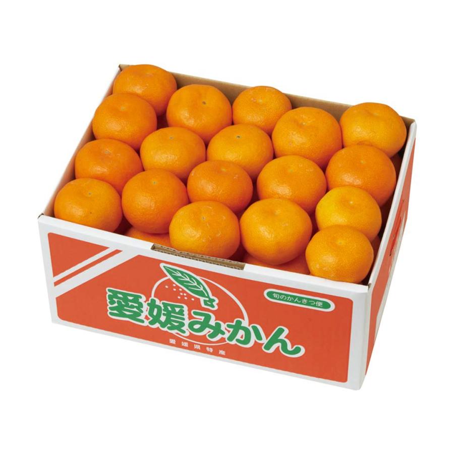 早割 お歳暮 2024 ギフト 御歳暮 冬ギフト フルーツ みかん 果物 愛媛みかん セット 詰合せ 愛媛みかん「Y13-6A」 : y13-6a : noel-deco - 通販 ...