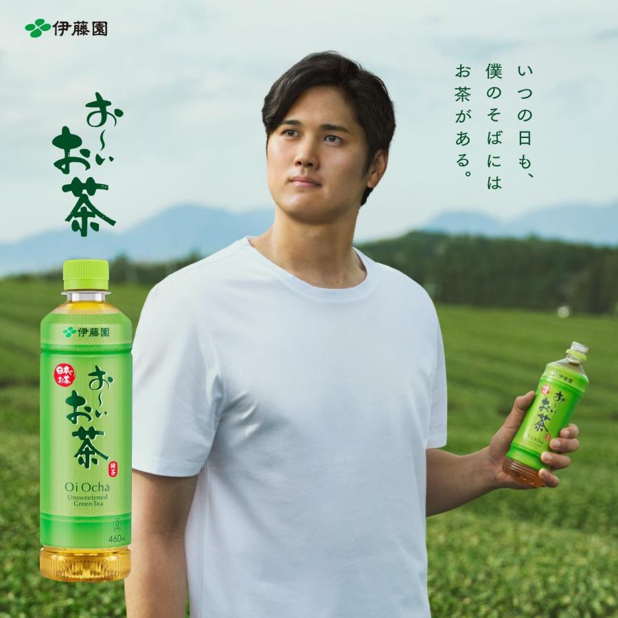 お〜いお茶 伊藤園 おーいお茶 MATCHA SHOT 265ml×48本 [機能性表示食品] ボトル缶 : おいしく飲呑会 - 通販 - Yahoo!ショッピング