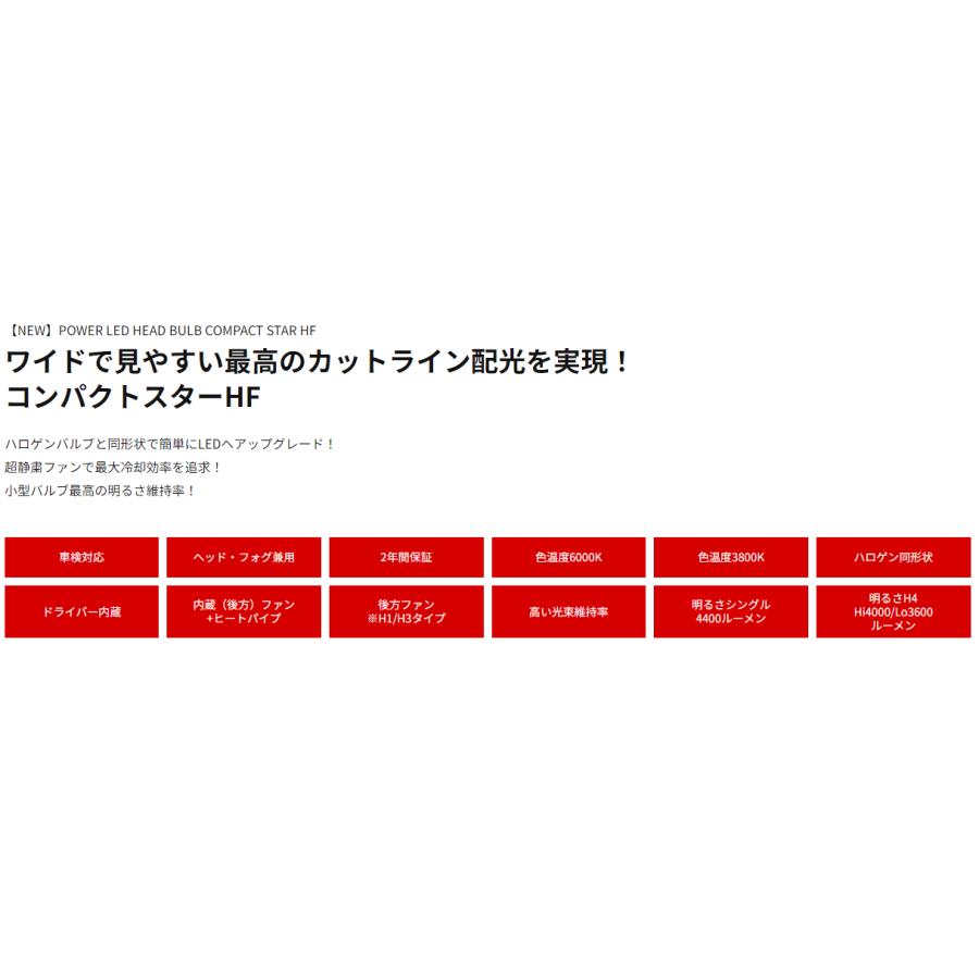 RACING GEAR RG レーシングギア RGH-P931 LED ヘッド＆フォグバルブ H8/9/11/16 6000K ホワイト 2個 ...