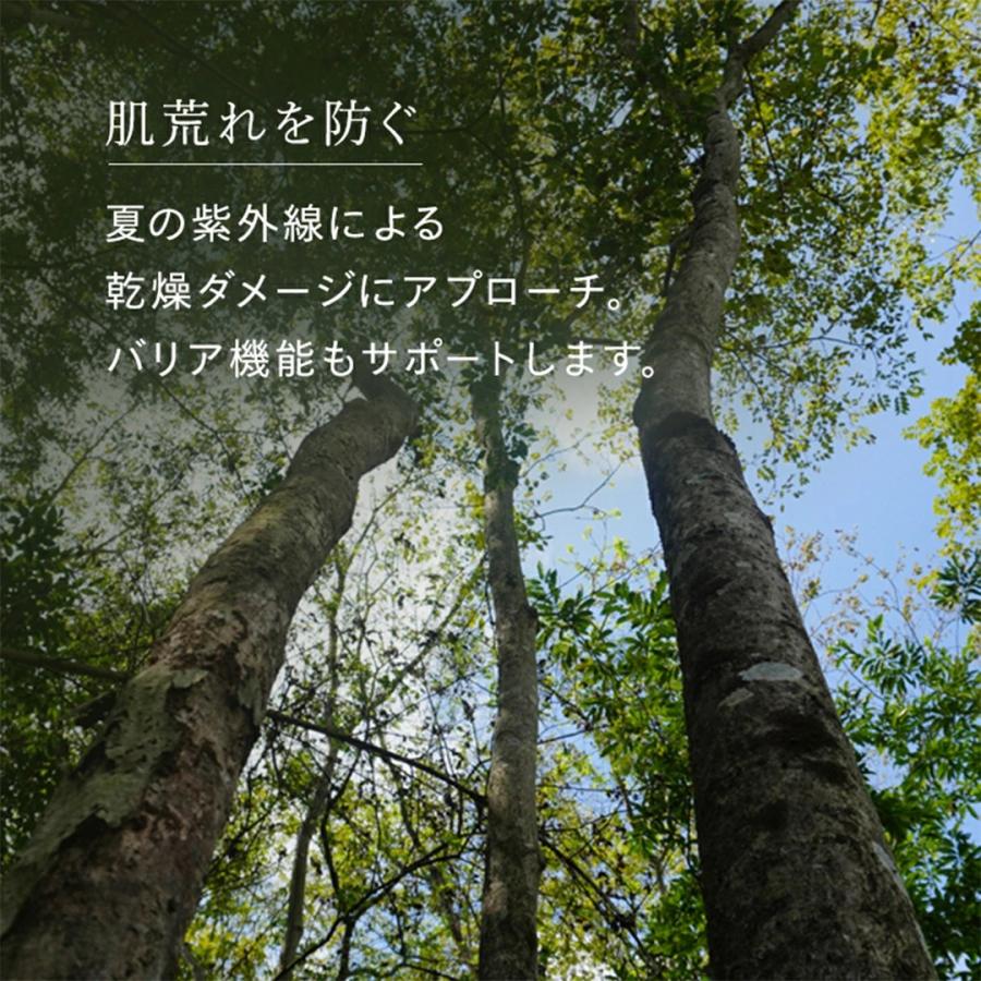 N organic 【公式】【N 公式】N Basic 化粧水・乳液 セット : Nオーガニック公式ショップ - 通販 - Yahoo!ショッピング