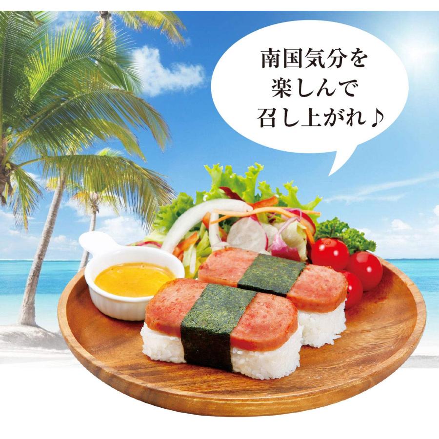 KOKUBO(コクボ) ランチョンミートむすびメーカー [おにぎり型/日本製] (押すだけ簡単/スパムおにぎりメーカー/スパムむすび型) KK-361 : Norip - 通販 - Yahoo ...