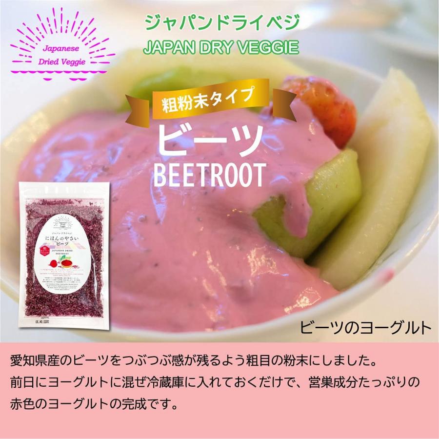乾燥野菜 ビーツ 粗粉末 ジャパンドライベジ にほんのやさい 粗粉末タイプ 100g パスタ リゾット メール便送料無料 : のりすけ - 通販 - Yahoo!ショッピング