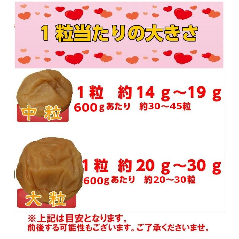紀州南高梅 塩分3％ はちみつ漬 1.8Kg 600gx3 サイズ選べます 大粒 中粒 はちみつ 梅干し はちみつうめ はちみつ梅干 減塩 ご飯のお供 送料無料 中峰農園 蜂蜜 ...