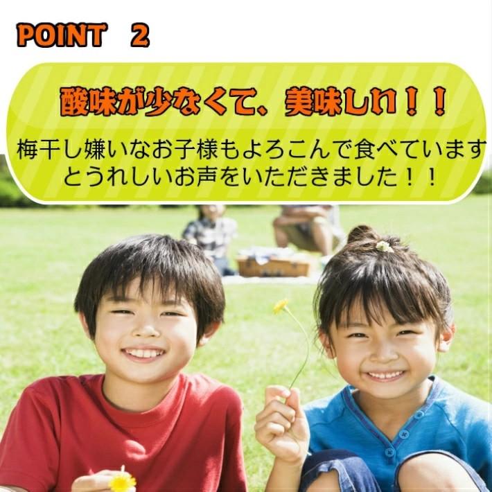 紀州南高梅 塩分3％ はちみつ漬 1.8Kg 600gx3 サイズ選べます 大粒 中粒 はちみつ 梅干し はちみつうめ はちみつ梅干 減塩 ご飯のお供 送料無料 中峰農園 蜂蜜 ...