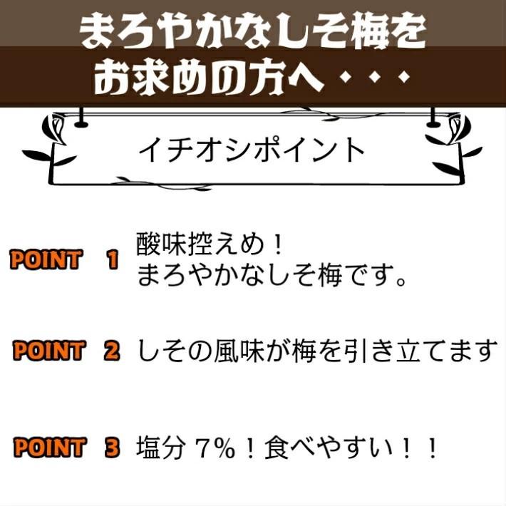 紀州南高梅 しそ漬 塩分7％ 1.8kg(600gx3) サイズ選べます 小粒大粒中粒 しそ梅干 紀州梅干 はちみつ梅干 和歌山 ご飯のお供 酸っぱい 甘い 送料無料 中峰農園 : 中峰農園 ...