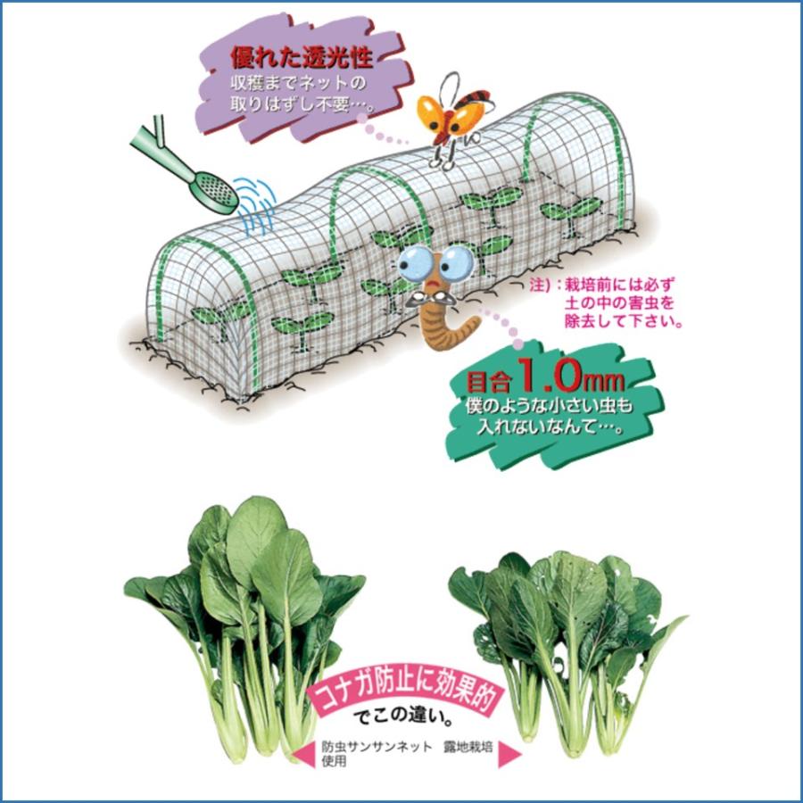 メーカーより直送 サンサンネットEX2000 1.0mm目合 310cm幅×長さ100m 日本ワイドクロス 防虫ネット コナガ アオムシ 虫よけ 鳥よけ ビニールハウス : 農業資材ホンポ ...