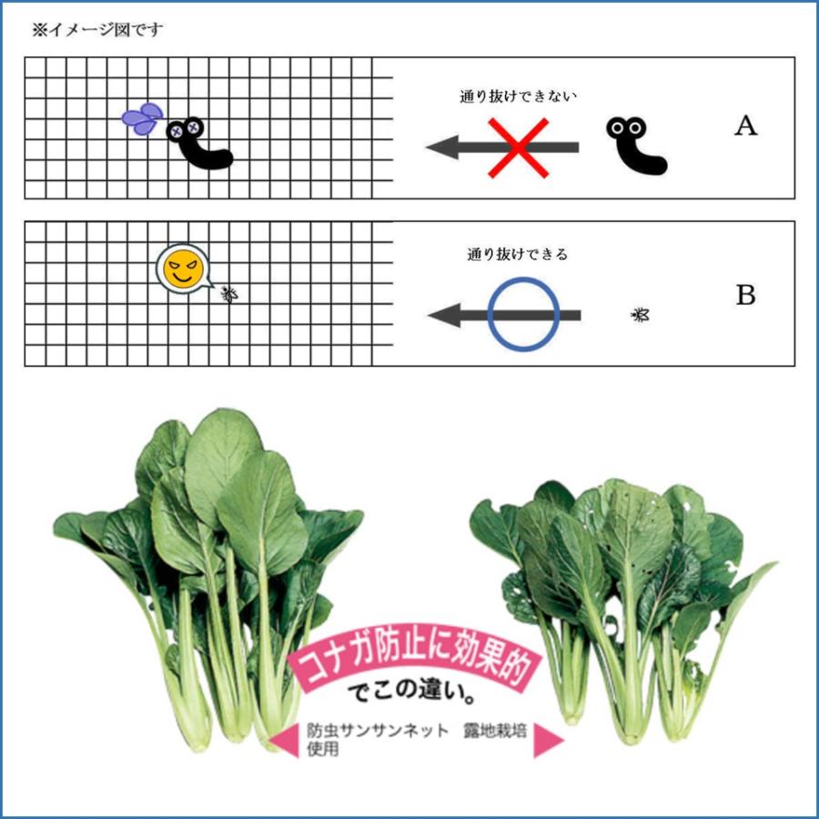 メーカーより直送 サンサンネットEX2000 1.0mm目合 230cm幅×長さ3m 日本ワイドクロス 防虫ネット コナガ アオムシ 虫よけ 鳥よけ ビニールハウス : 農業資材ホンポ ...