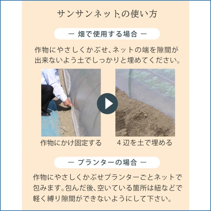 メーカーより直送 サンサンネットEX2000 1.0mm目合 230cm幅×長さ3m 日本ワイドクロス 防虫ネット コナガ アオムシ 虫よけ 鳥よけ ビニールハウス : 農業資材ホンポ ...