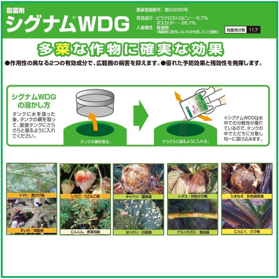 委託先より直送 シグナムWDG 100g 殺菌剤 園芸 家庭菜園 防除 農薬 農業資材 BASFジャパン 病害対策 予防 : 農業資材ホンポ - 通販 - Yahoo!ショッピング