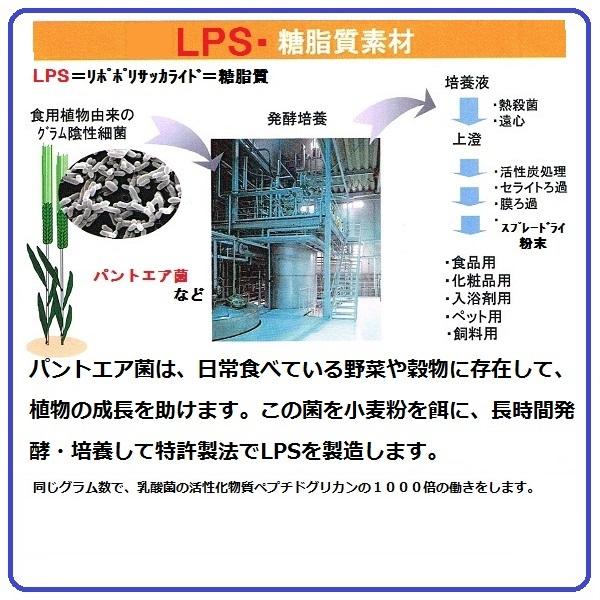 約2ヶ月分 マクロF1000 mf4 60gX2個セット パントエア菌LPS 1000μg/日 配合 免疫ビタミン 免疫力 健康活力 マクロファージ 簡易包装 送料無料 税込 : サクラノー ...