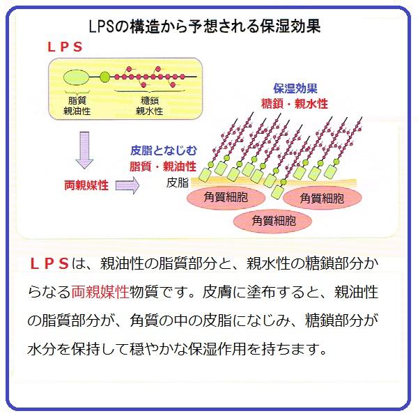 約2ヶ月分 マクロF1000 mf4 60gX2個セット パントエア菌LPS 1000μg/日 配合 免疫ビタミン 免疫力 健康活力 マクロファージ 簡易包装 送料無料 税込 :mf4:サクラ ...