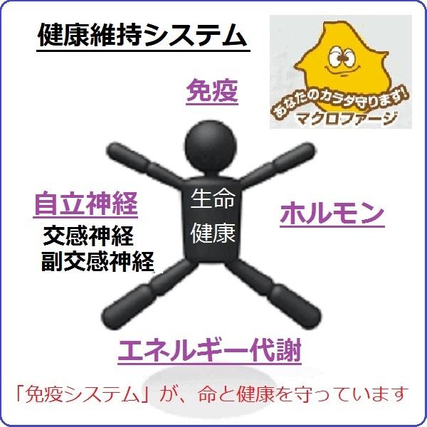 約2ヶ月分 マクロF1000 mf4 60gX2個セット パントエア菌LPS 1000μg/日 配合 免疫ビタミン 免疫力 健康活力 マクロファージ 簡易包装 送料無料 税込 : サクラノー ...