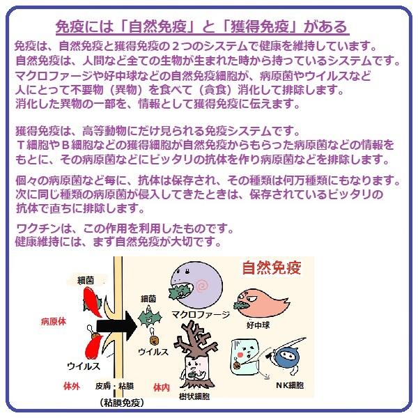約2ヶ月分 マクロF1000 mf4 60gX2個セット パントエア菌LPS 1000μg/日 配合 免疫ビタミン 免疫力 健康活力 マクロファージ 簡易包装 送料無料 税込 : サクラノー ...