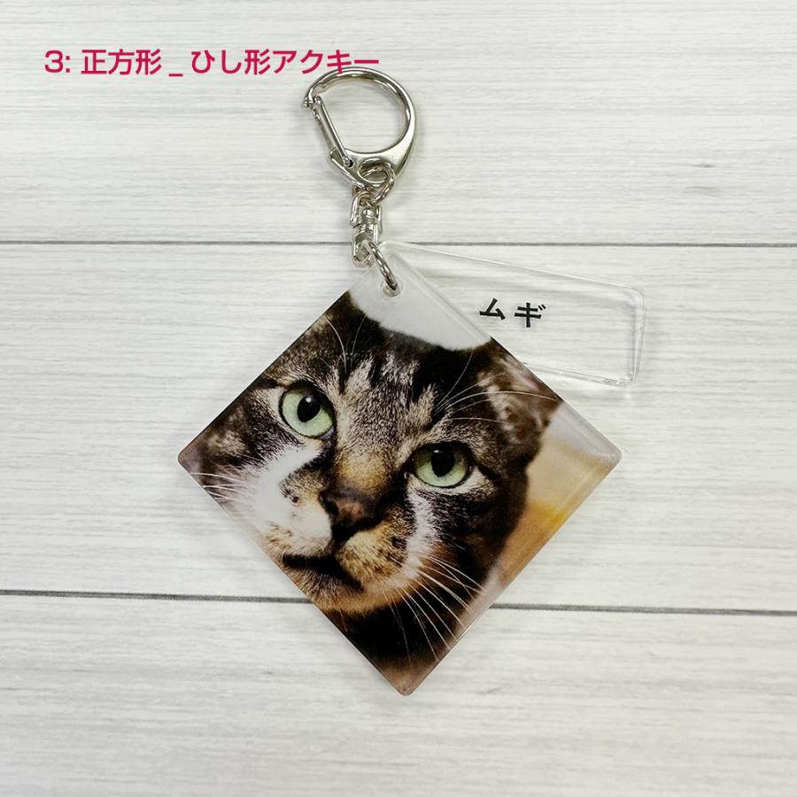 アクリル オリジナル モーテル キーホルダー 名前入り アクキー キーリング メッセージ コメント 写真 ペット ペットロス インスタ 透明 : NSPR Yahoo!SHOP - 通販 ...