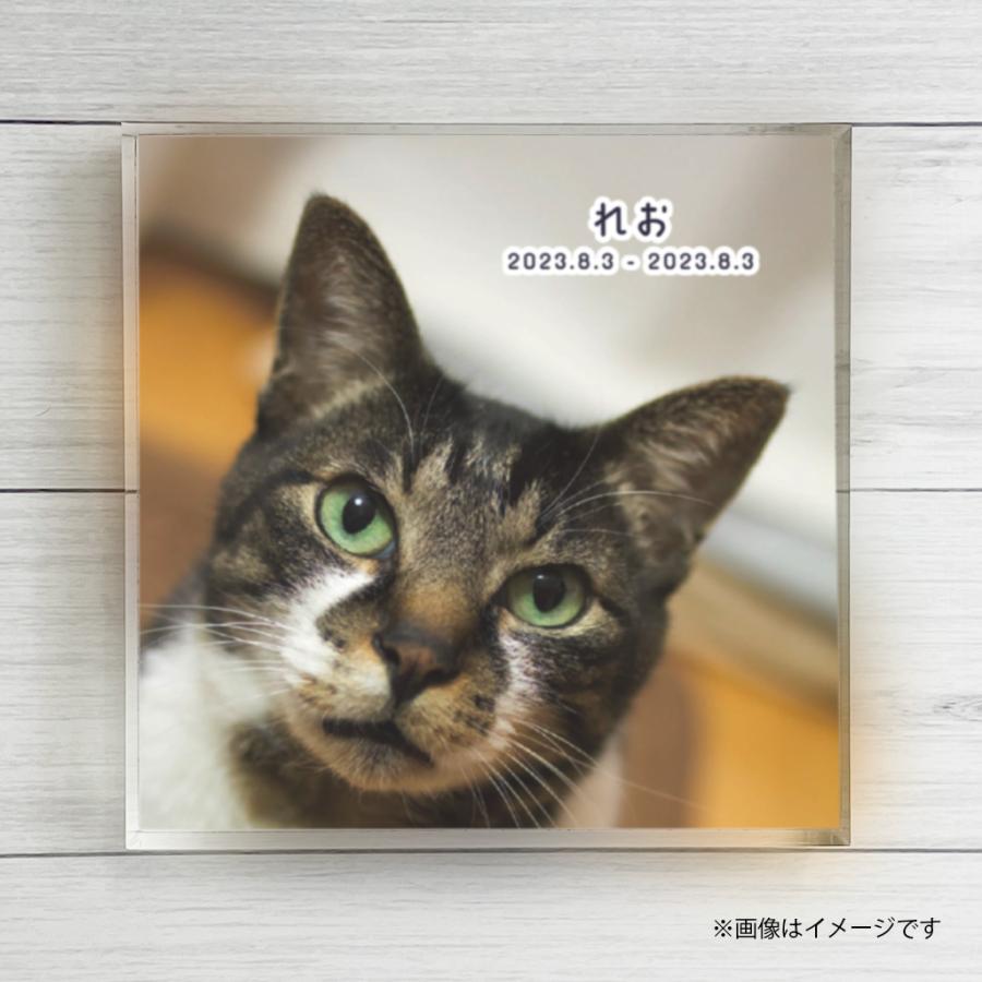 メモリアルグッズ アクリルブロック ペットロス キューブ オーダーメイド オリジナル 写真 画像 : NSPR Yahoo!SHOP - 通販 - Yahoo!ショッピング