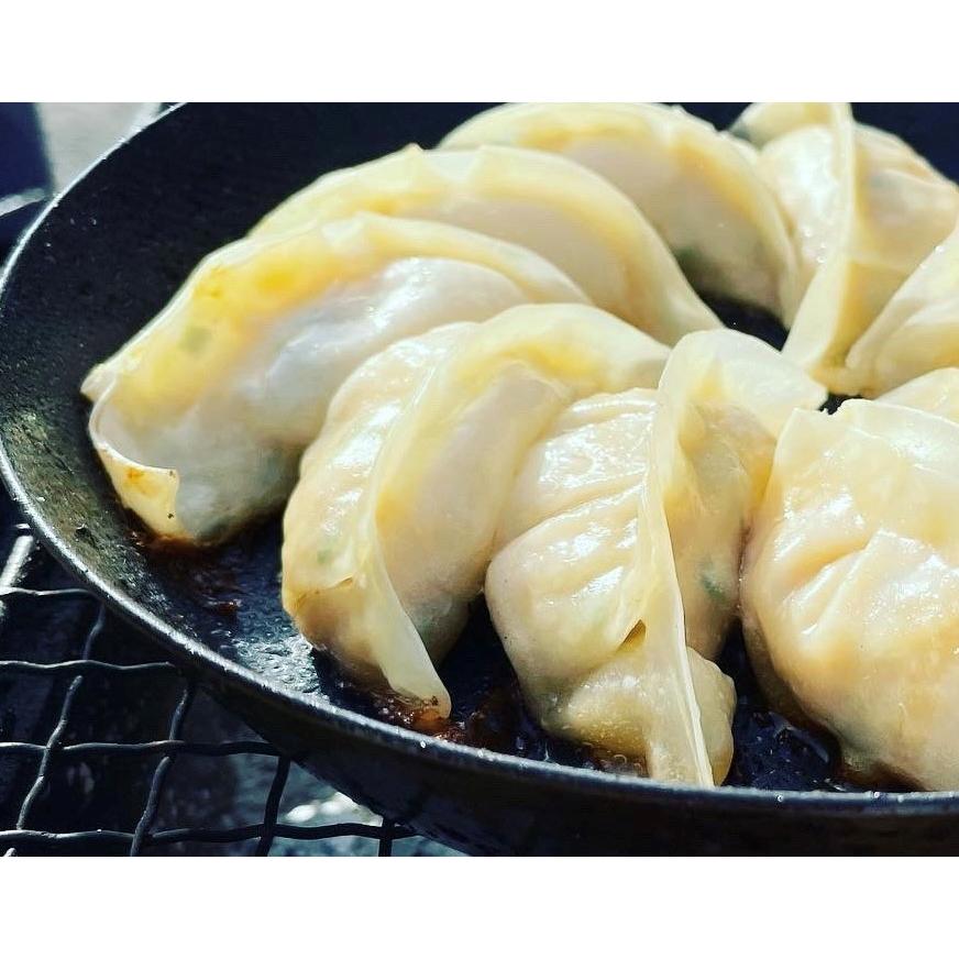 越後まるきよ餃子 100個入り リピーター続出 冷凍食品 通販 お取り寄せ うまい 餃子 【餃子 ぎょうざ ギョーザ】 :ngt-004:NT ...