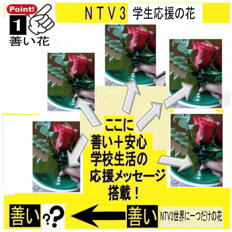 NTV3ビジネス(コース)会員登録せよ！ 花タイプ : ntv3 - 通販 - Yahoo!ショッピング