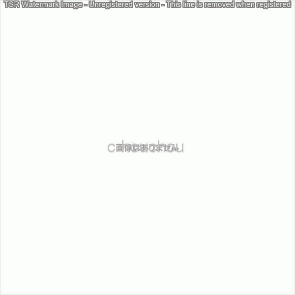ダウンコート レディース ロング ダウンジャケット 軽い 薄いライト M L LL 3L 4L 大きいサイズ 軽量 重ね着 無地 : NUMAQLO - 通販 - Yahoo!ショッピング