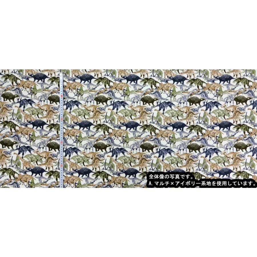 FUWARI 染布 オックス 恐竜博物館 グリーン系地 4色 1m単位 生地 布 布地 恐竜 綿 かっこいい オックスフォード オックス生地 : 24005d : 生地商フエンツ布人 - 通販 ...