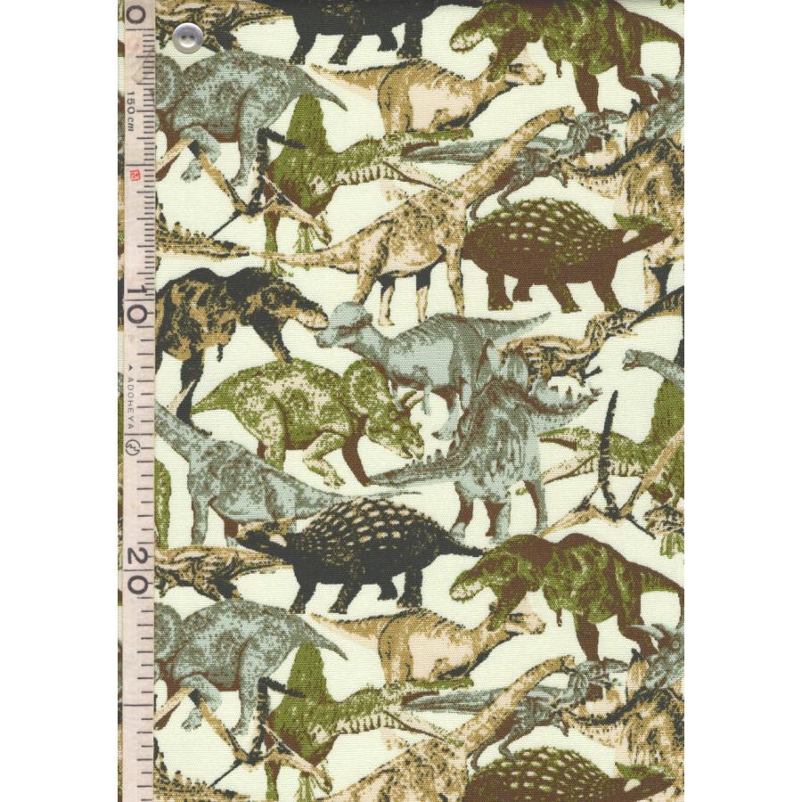 FUWARI 染布 オックス 恐竜博物館 グリーン系地 4色 1m単位 生地 布 布地 恐竜 綿 かっこいい オックスフォード オックス生地 : 24005d : 生地商フエンツ布人 - 通販 ...