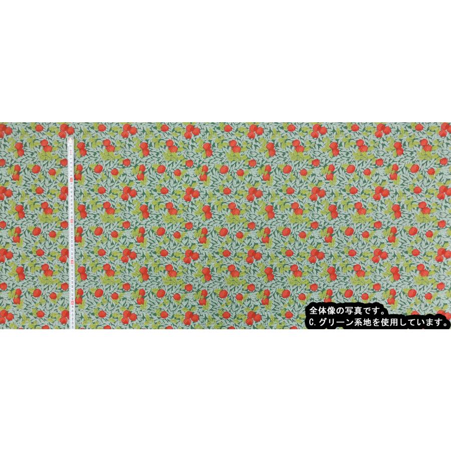 FUWARI 染布 スケアー ラズベリー ベージュ系地 5色 1m単位 生地 布 布地 スケア 木苺 苺 いちご いちご柄 イチゴ柄生地 ラズベリー柄生地 葉 リーフ : 生地商フエンツ布人 ...