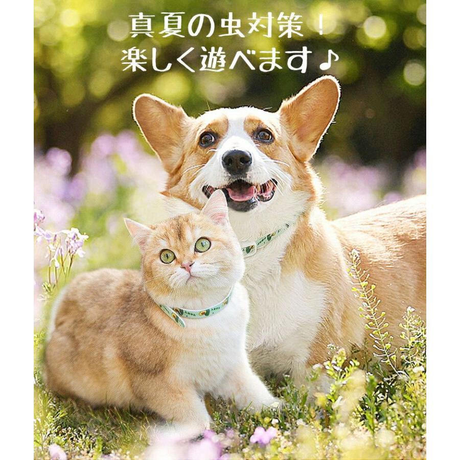 ペット用 蚊よけ ノミ取り首輪 虫除け 首輪 蚊除け対策 天然ハーブ 蚊除け 春 夏 丸洗い可能 犬猫兼用 取り付け簡単 安全的 無毒 可愛い :jx0522b0032:Nunose - 通販 ...