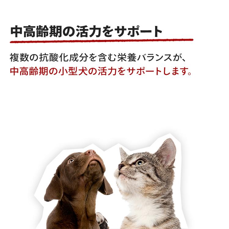 ロイヤルカナン ミニアダルト 8+ 8kg 2個セット : 9766463 : にゃんこの生活 - 通販 - Yahoo!ショッピング